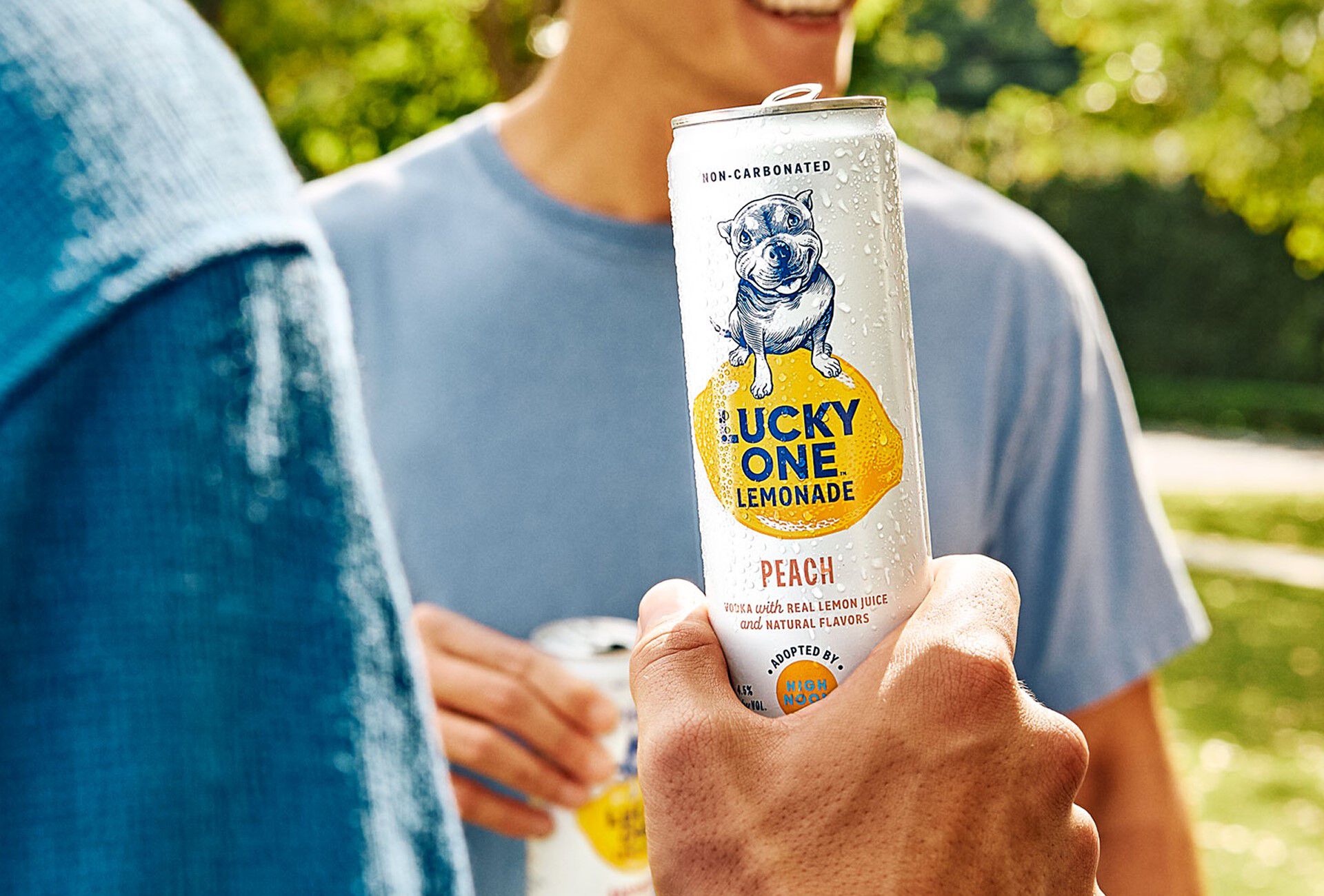 Lucky One Lemonade | Our Vodka Lemonade Flavors