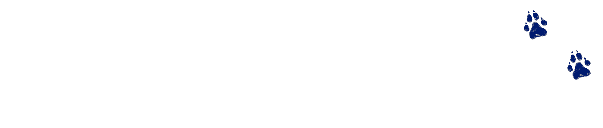 Lucky One Lemonade | REAL Vodka + REAL Lemonade